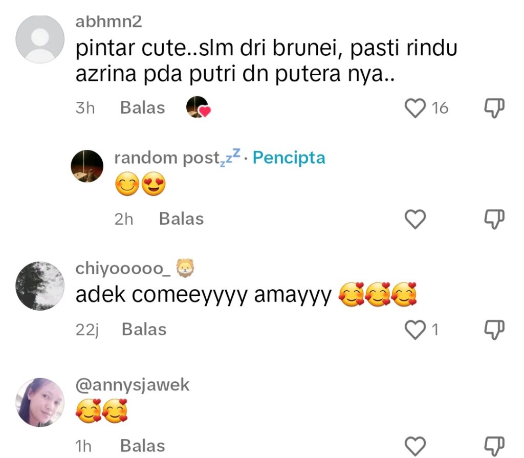 "Kakak Ameerah Bolkiah, happy birthday, miss you" - Anak Azrinaz Mazhar ...